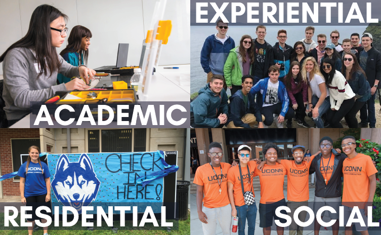 Director Handbook | Learning Community Program